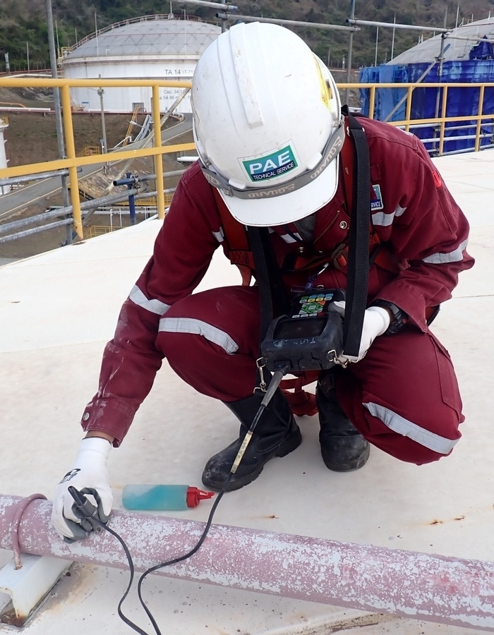 PAE Technical Service PCL.